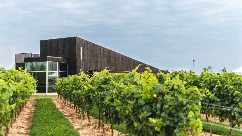 The Best Niagara-on-the-Lake Winery Tours for 2025