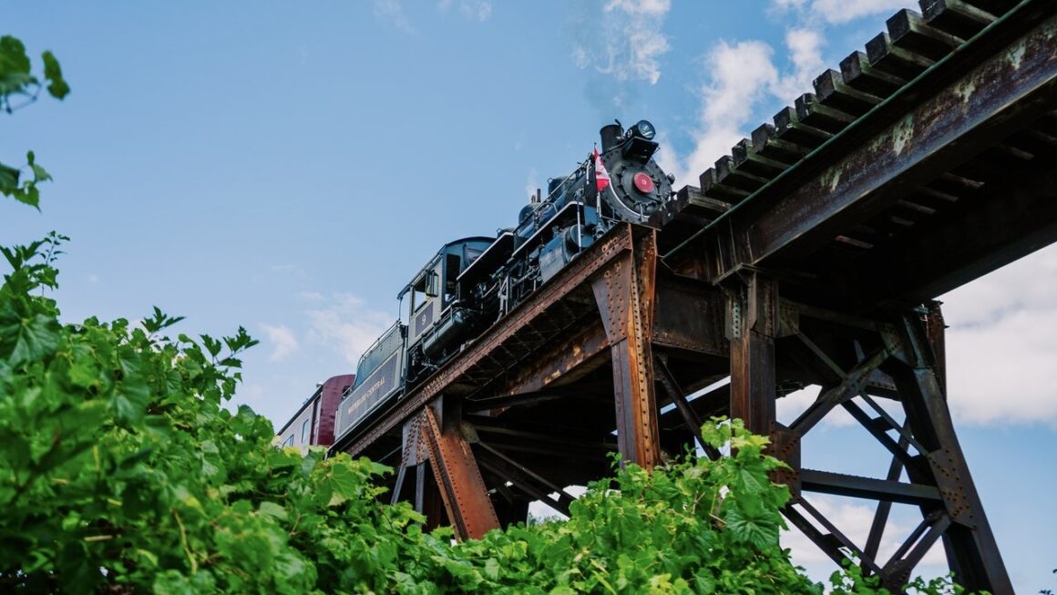 Fun Things To Do in Kitchener-Waterloo Ontario