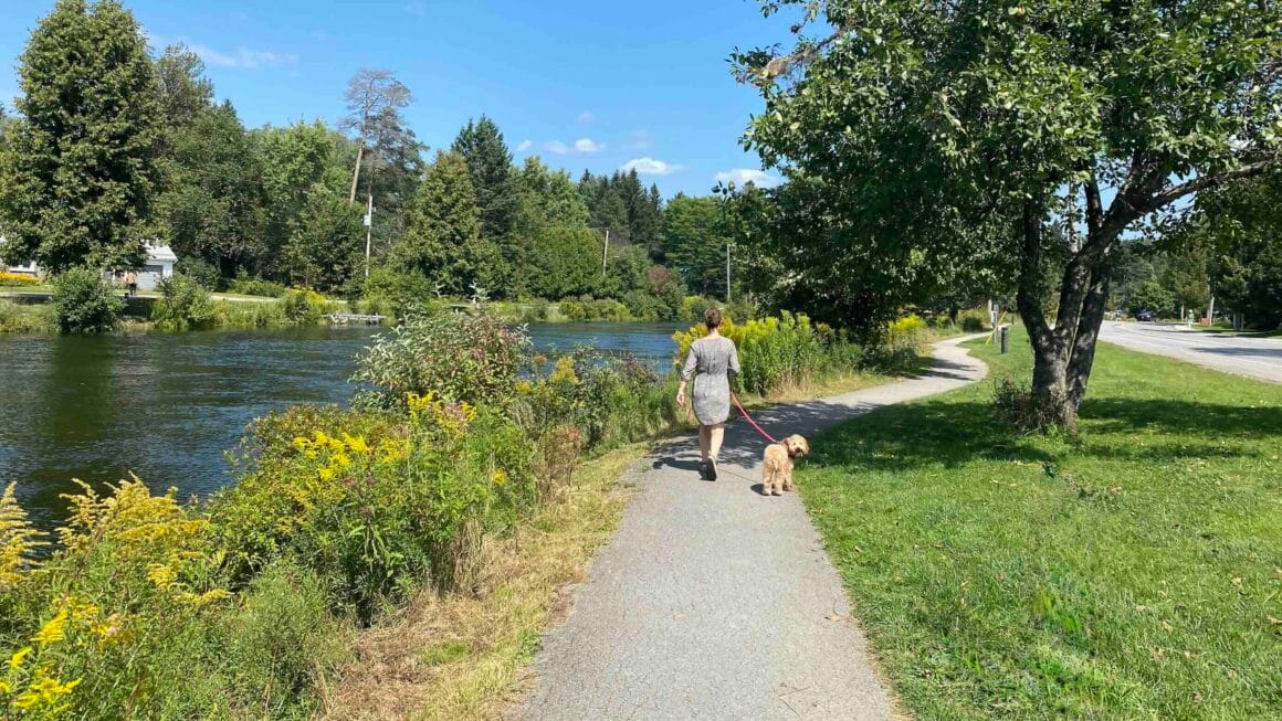The Best Things To Do in Minden, The Heart of Haliburton County