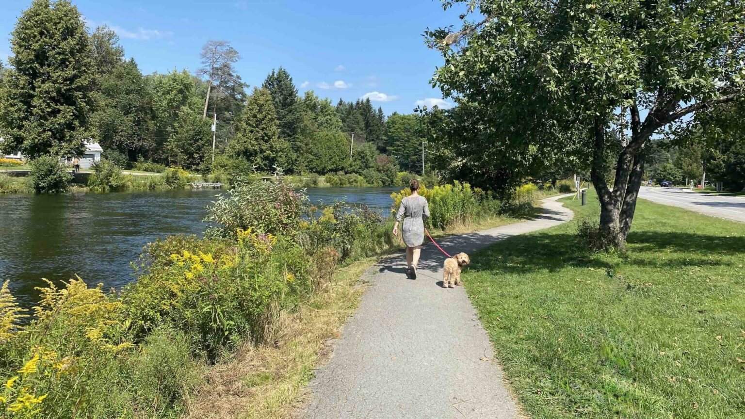 The Best Things To Do in Minden, The Heart of Haliburton County