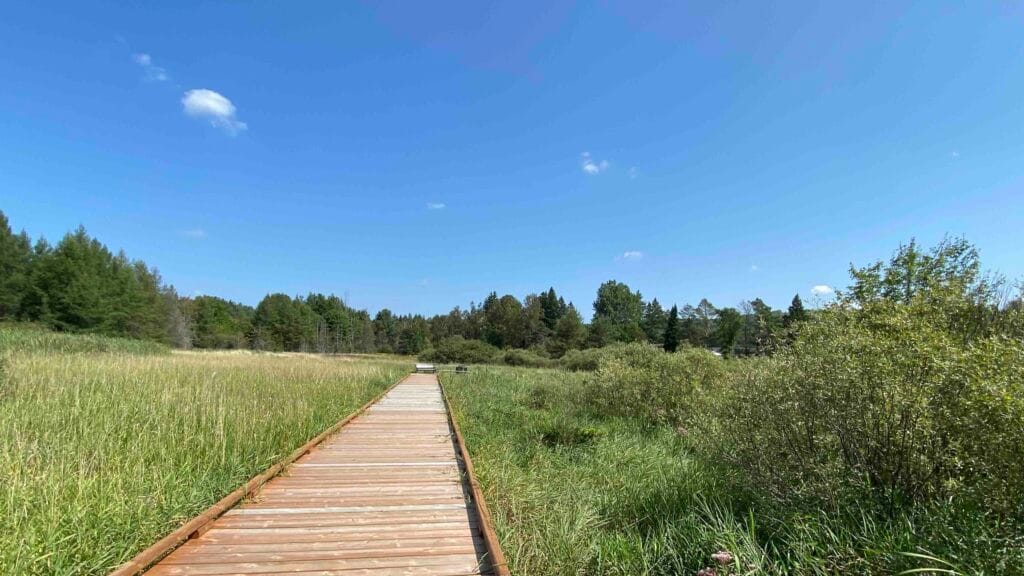 The Best Things To Do in Minden, The Heart of Haliburton County