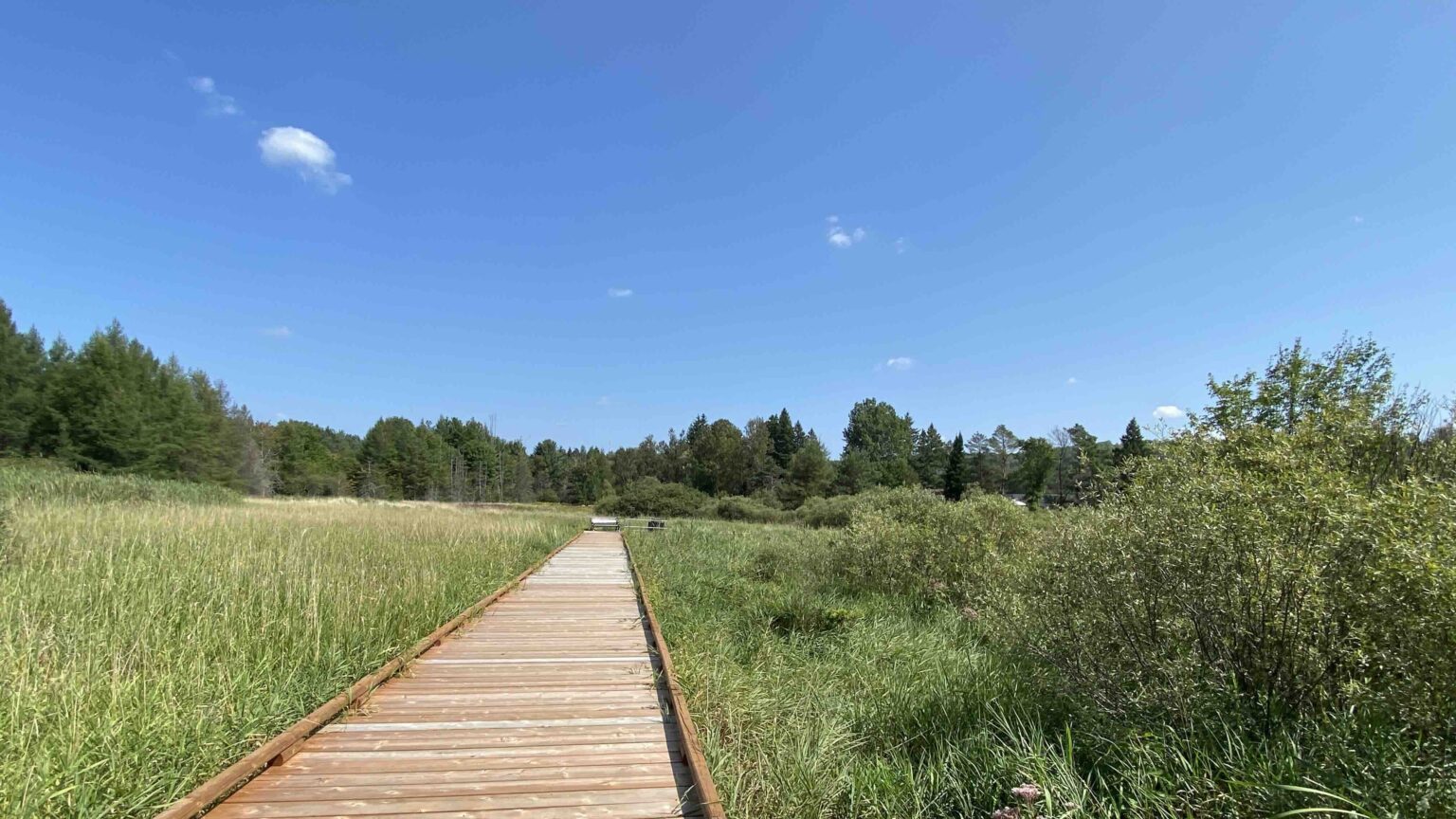 The Best Things To Do in Minden, The Heart of Haliburton County