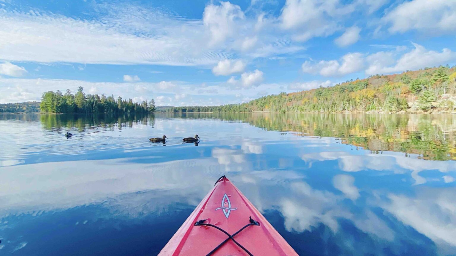 The Best Things To Do in Minden, The Heart of Haliburton County